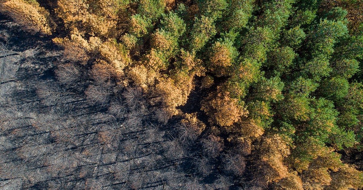 Fire-Hardened Residential Construction: Good Practices and Emerging…