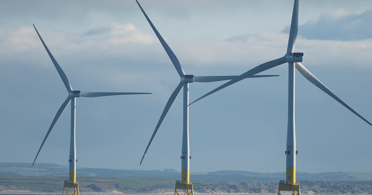 From Ambition to Attrition: The Financial Realities Behind Wind…